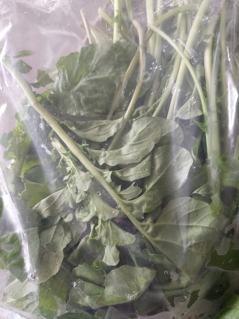 Rúgula seleccionada 100 gr – Biomacolombia
